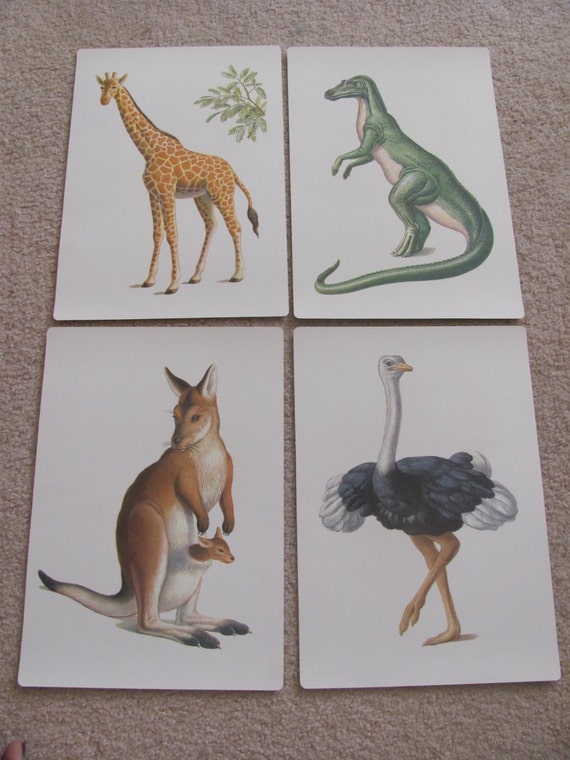 Large Illustrated School Flash Card Poster by TotallyOldSchool