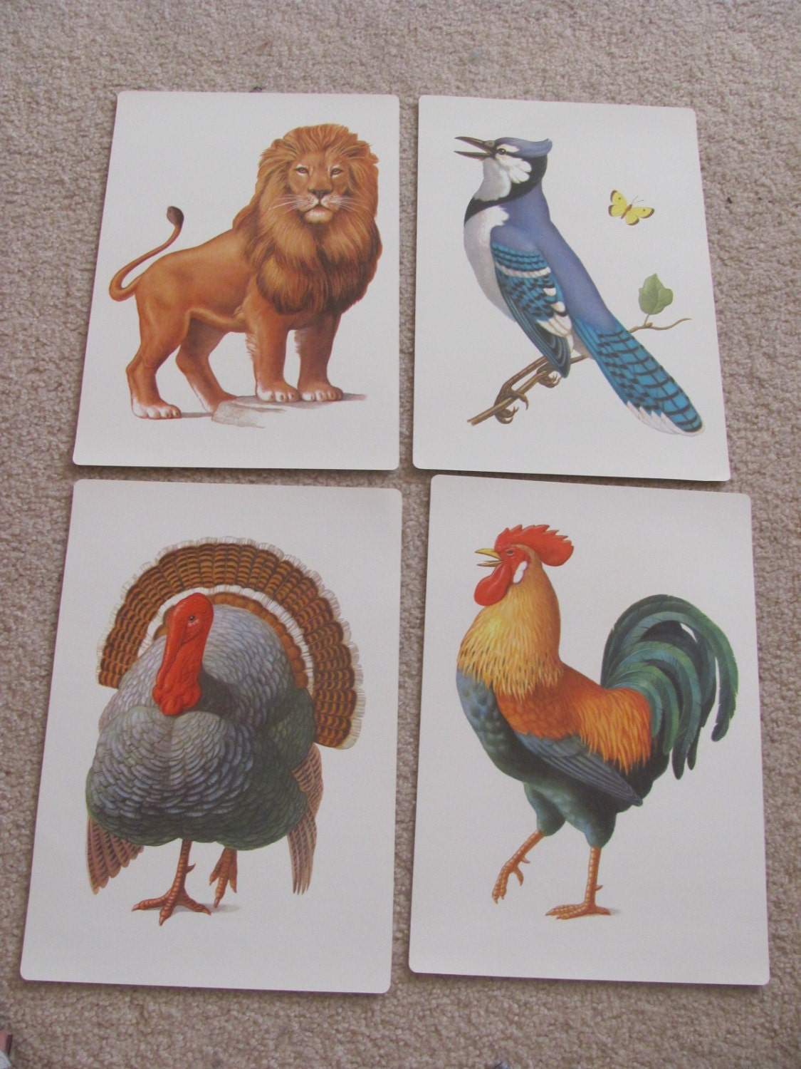 Large Illustrated School Flash Card Poster by TotallyOldSchool