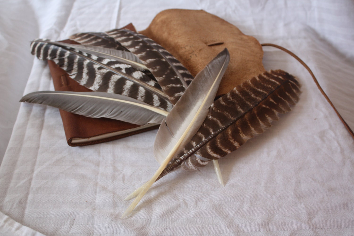 Two Handcut Quills by Scribalworkshop on Etsy