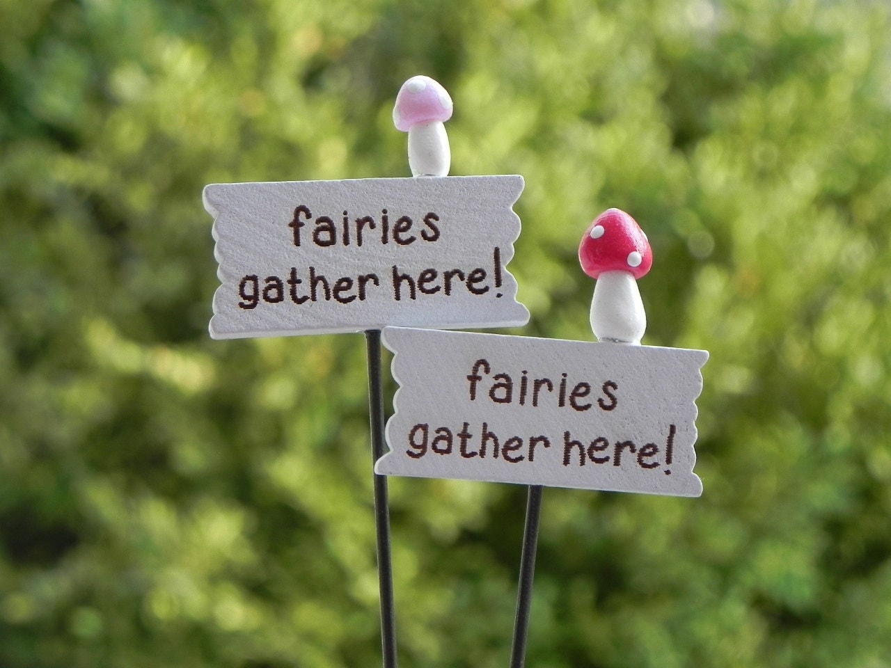 ONE Miniature Fairy Garden Sign fairies gather here with