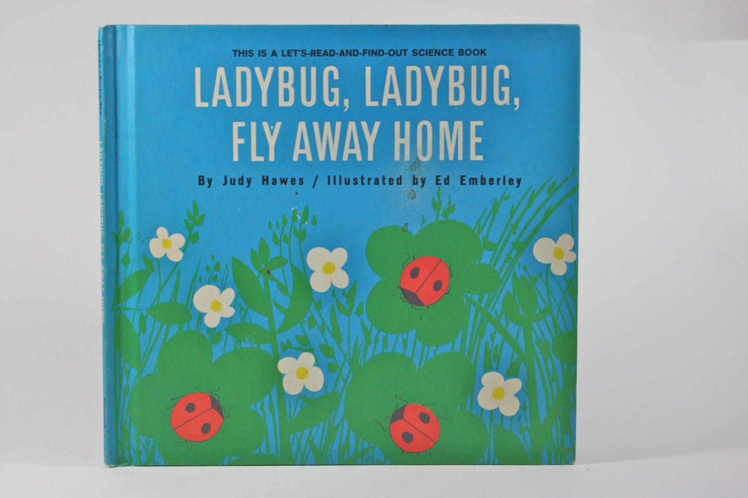 Ladybug, ladybug fly away home – Orange Marmalade Press