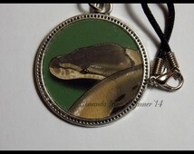 Popular items for ball python on Etsy