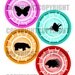 24 Set Animal Adventure Discs Inspired 4 PRINTABLE