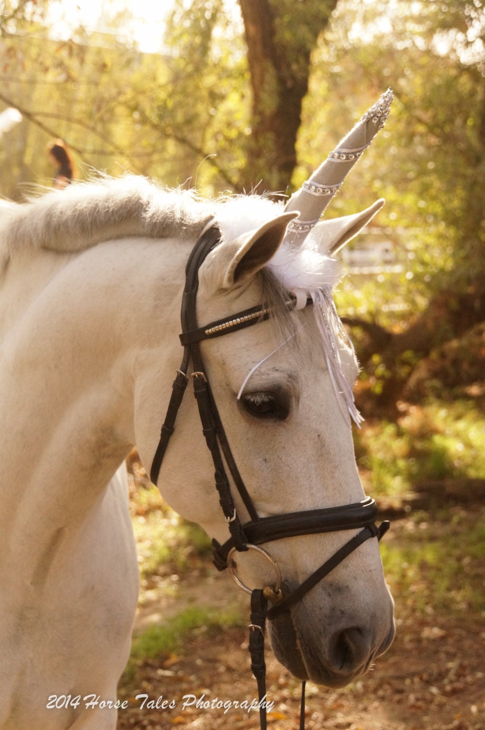Realistic Horse Costume