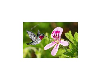 Popular items for colibri pens on Etsy