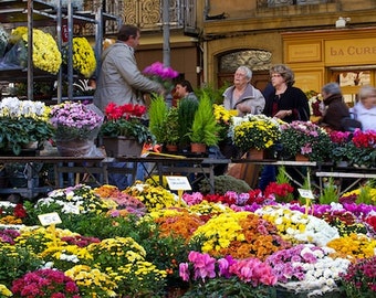 Popular items for french flower market on Etsy