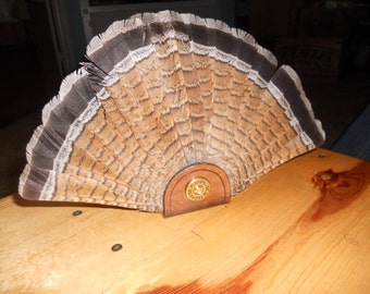 Hunting. Grouse Hunting. Grouse Fan Display. Grouse Fan Mount.
