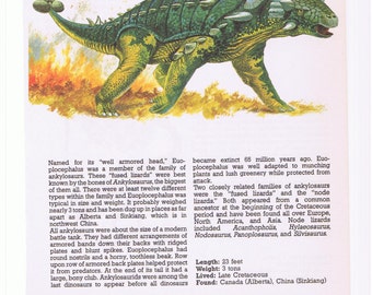 1980s dinosaur book | Etsy