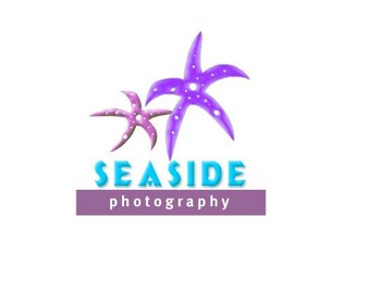 Seashell logo | Etsy