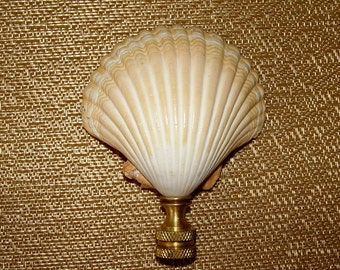 Popular items for seashell lamp on Etsy