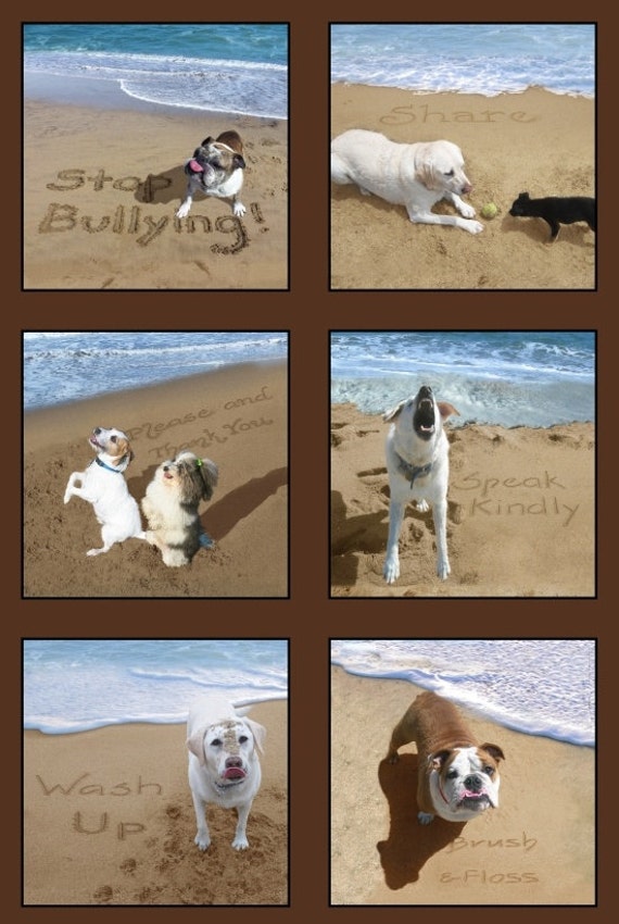 Sand Scribbles Dogs Panels Quilting Fabric 15 Panels