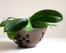 Popular items for orchid planters on Etsy