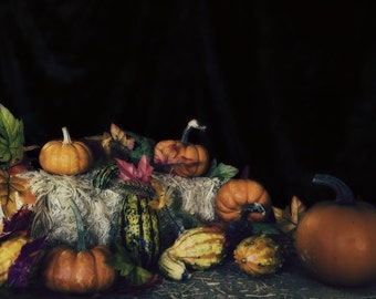 Gothic Photography Still Life Photography 8x12 by UNIQUEexperience