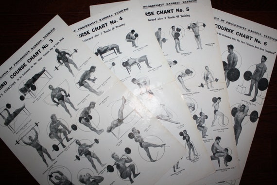 Weider 8630 Exercise Wall Chart