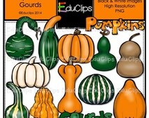 Popular items for pumpkins and gourds on Etsy
