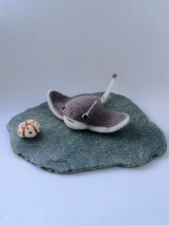 Needle felted stingray and sea urchin. Felted ray. Needle felt
