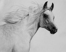 Unique custom horse drawing related items | Etsy