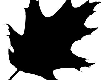 Oak leaf wall decal | Etsy