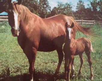 1980 Joyce Mandell vintage poster Glamour by VintagePostersPrints