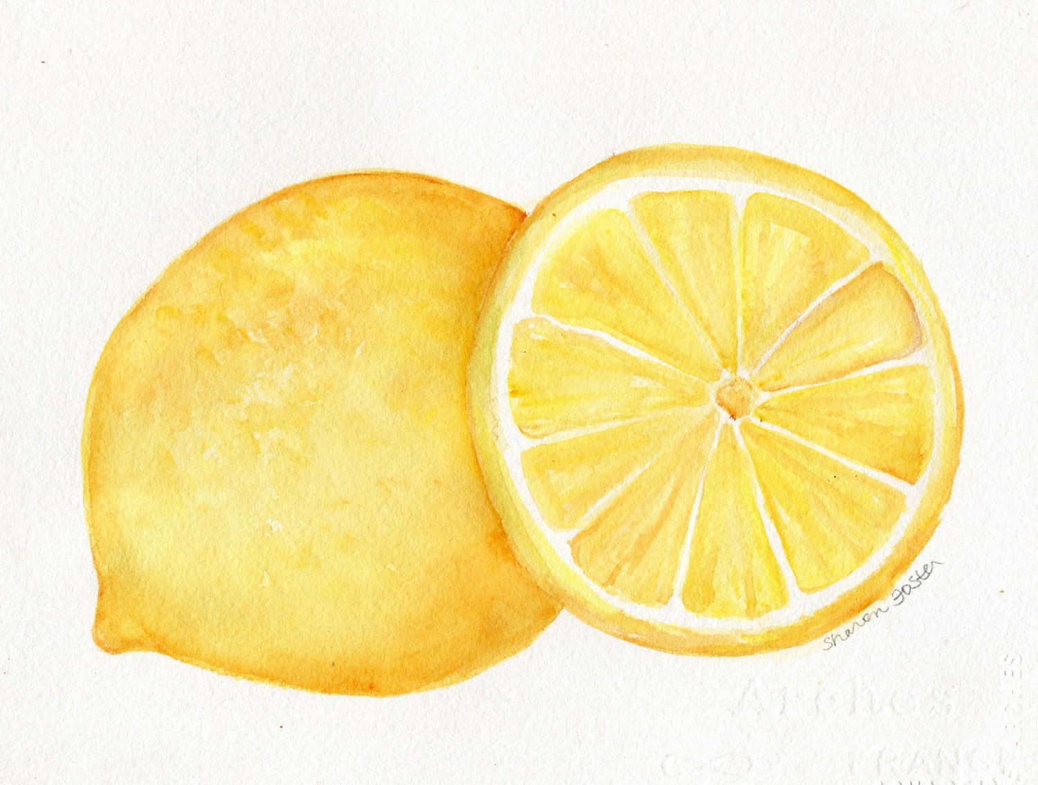 Zitronen Aquarell Gemälde originale kleine Zitrusfrüchte