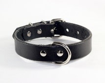 Popular items for dachshund collar on Etsy