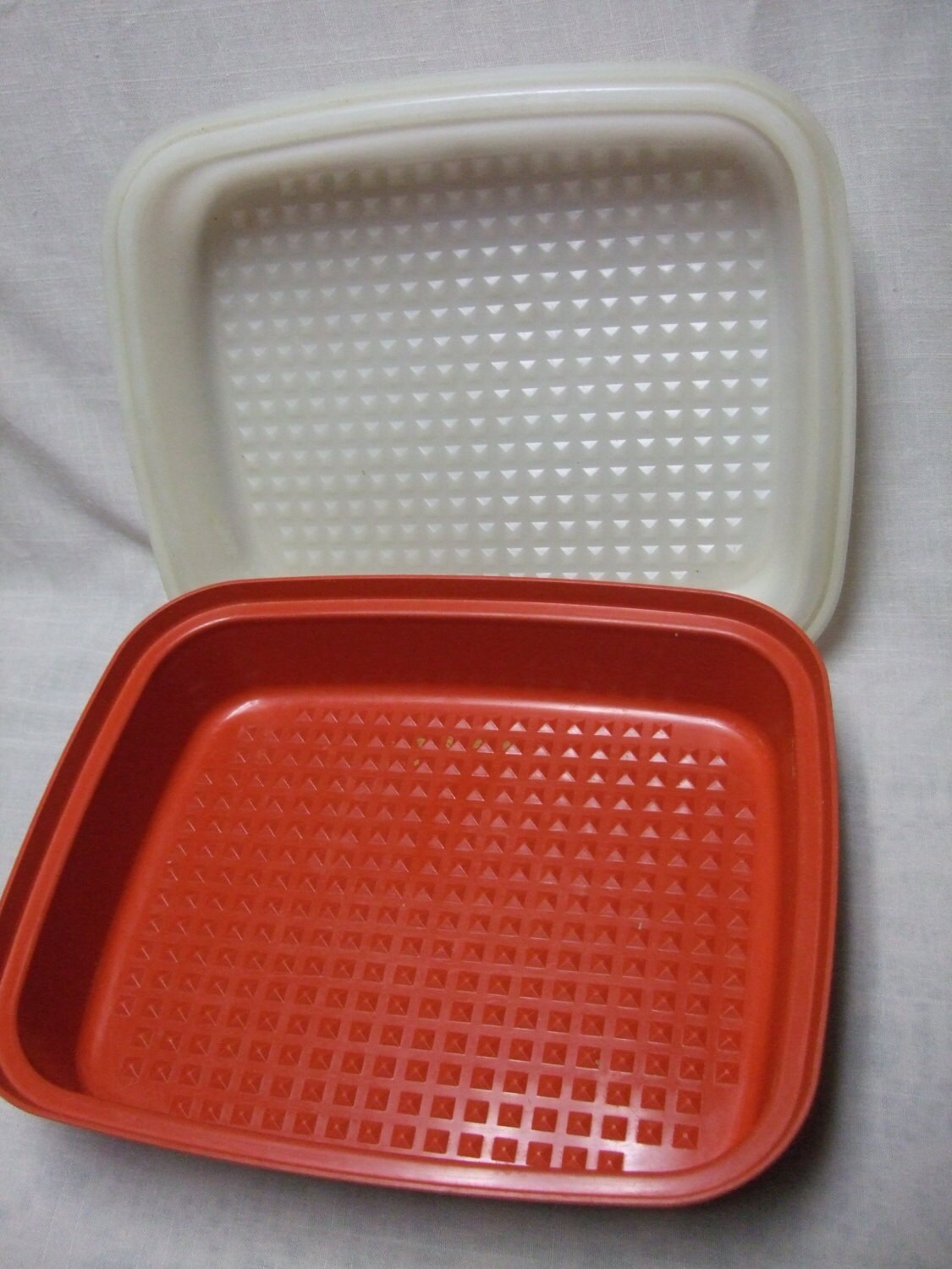 Tupperware Meat Season Serve Tenderizer Container – Haute Juice