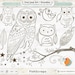 Owl Digital Stamp Outline Cute Woodland Owl Line Art PNG
