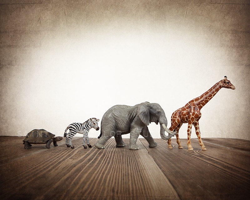 Safari animal photo Turtle Zebra Elephant and Giraffe line