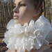 F019 Neck and Wrist Ruffs Circus Collar and Cuffs Gorgeous