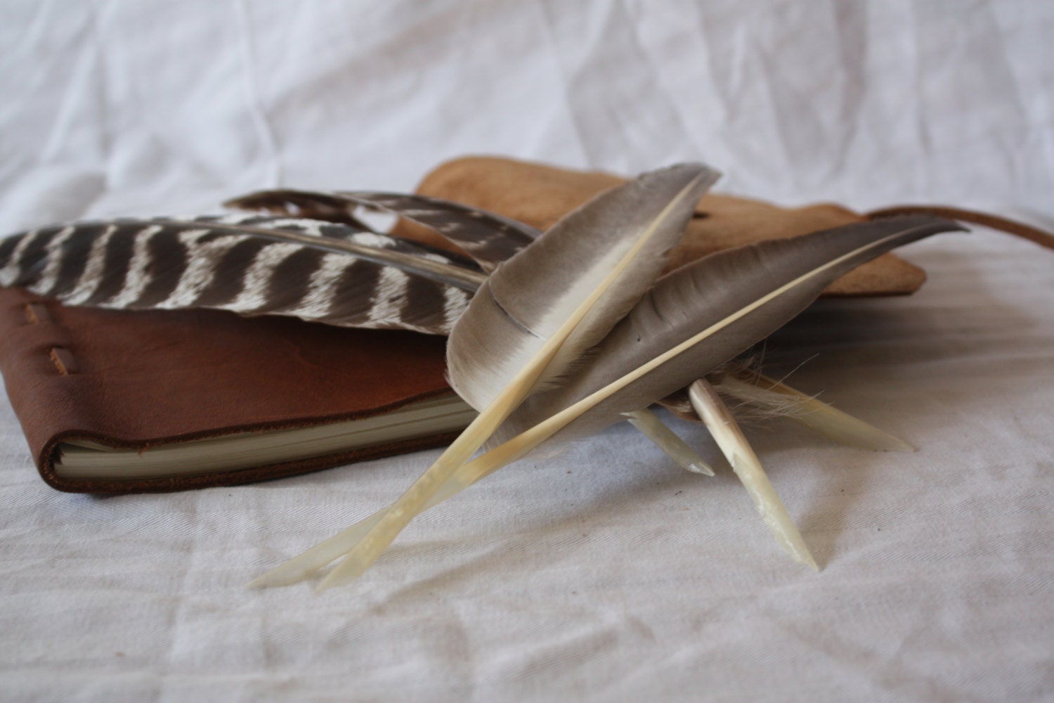 Two Handcut Quills by Scribalworkshop on Etsy