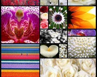 Flower Collage 8x10 print