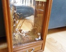 Unique mirrored shadow box related items | Etsy