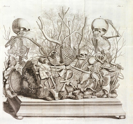 Frederik Ruysch : Diorama of Fetal Skeletons Arranged