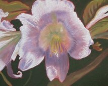 Popular items for paintings of lilies on Etsy