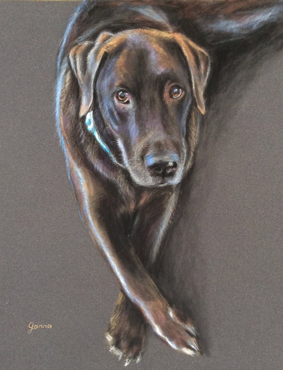 Custom Pet Portrait Drawing with Soft Pastel on High by GannaArt