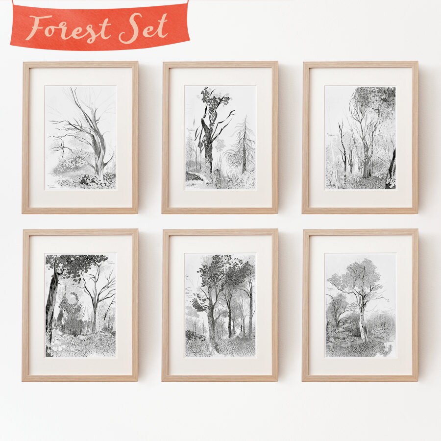 Set of 6 Tree Drawings Fine Art Print Tree Images Nature