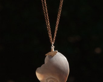 NC Moon Snail Necklace