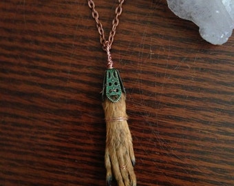 Popular items for squirrel feet on Etsy