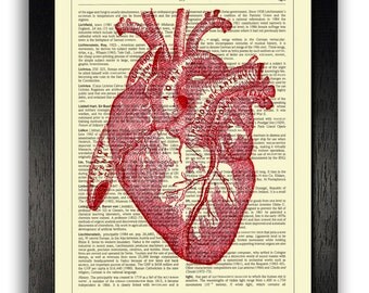 Heart Human Anatomy Butterfly Anatomical Heart Print on