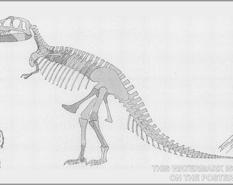 Items similar to Fuzzy Figures - Tyrannosaurus Rex on Etsy