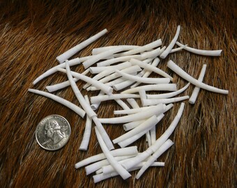 Dentalium shell | Etsy