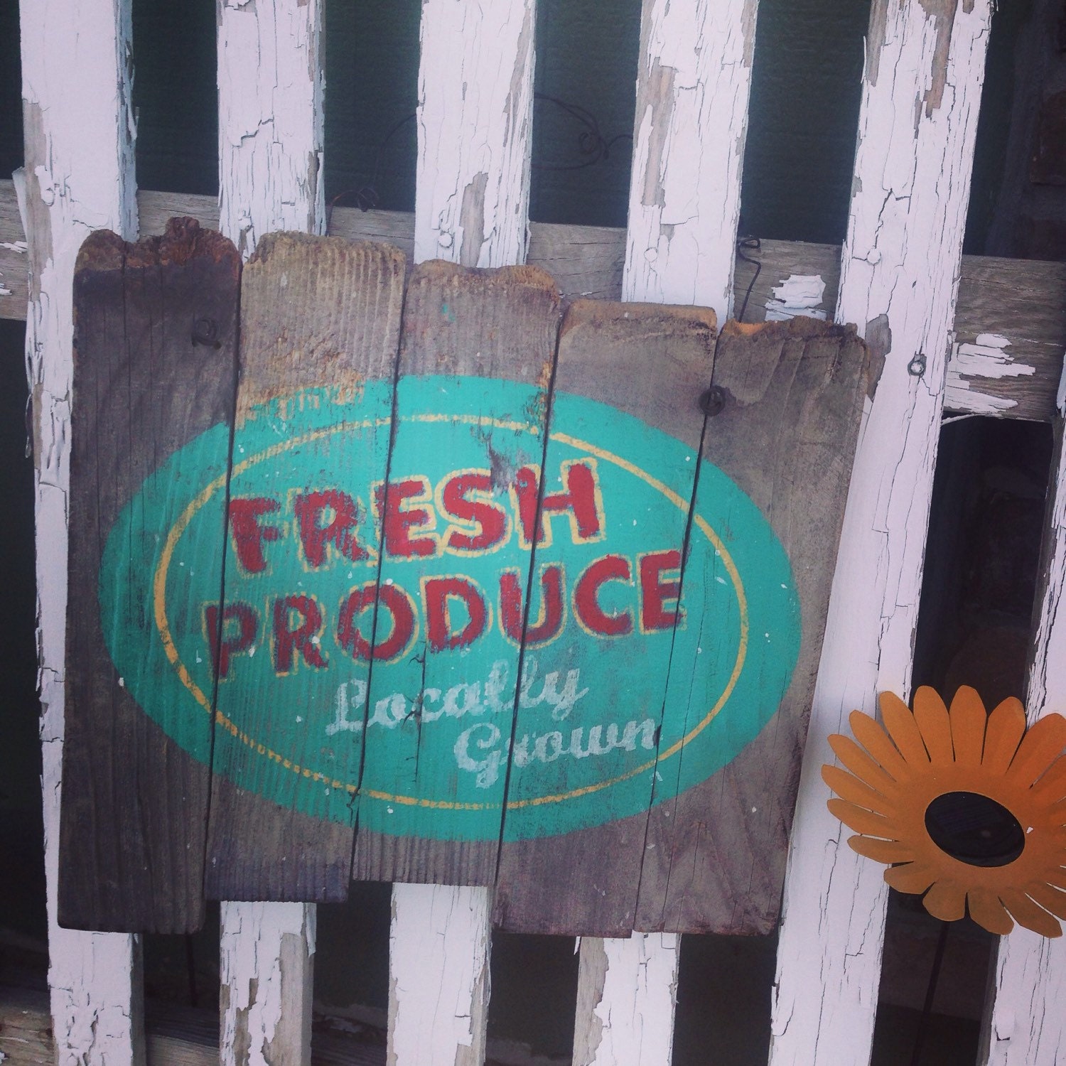 Chandeliers & Pendant Lights