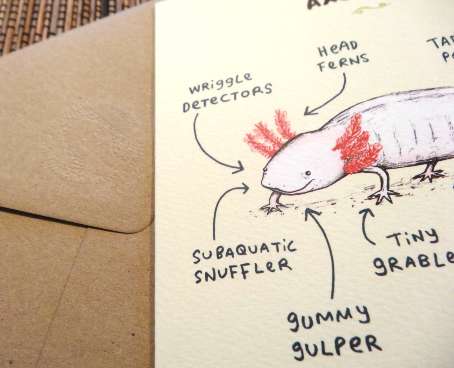 Anatomy Of An Axolotl Card