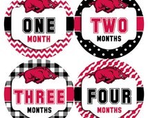 FREE GIFT, Arkansas Razorback Baby Gift, Arkansas Baby Gift, Monthly ...