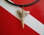 The Shark Tooth Shop by TheSharkToothShop on Etsy