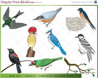 50% OFF SALE Bird Clipart - Clip Art of Colorful Birds Scrapbook Images ...