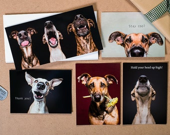 Funny postcards | Etsy