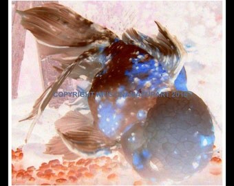 Items similar to Happy Little Goldfish Hair Clip on Etsy