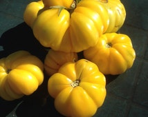 Popular items for invincible summer on Etsy