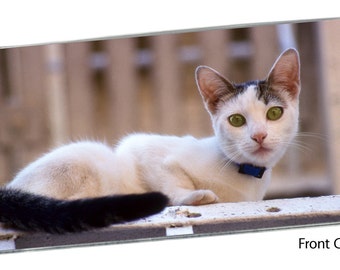 Piebald cat | Etsy
